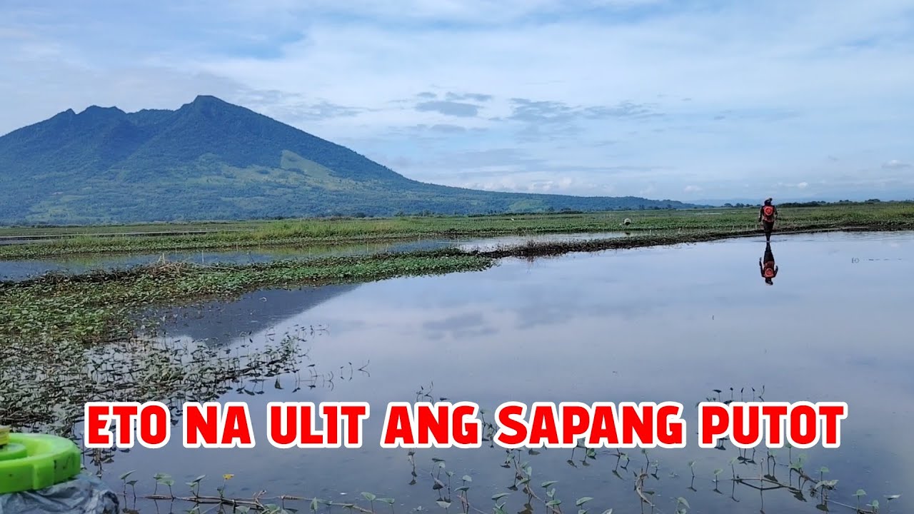 ETO NA ULIT ANG SAPANG PUTOT - YouTube