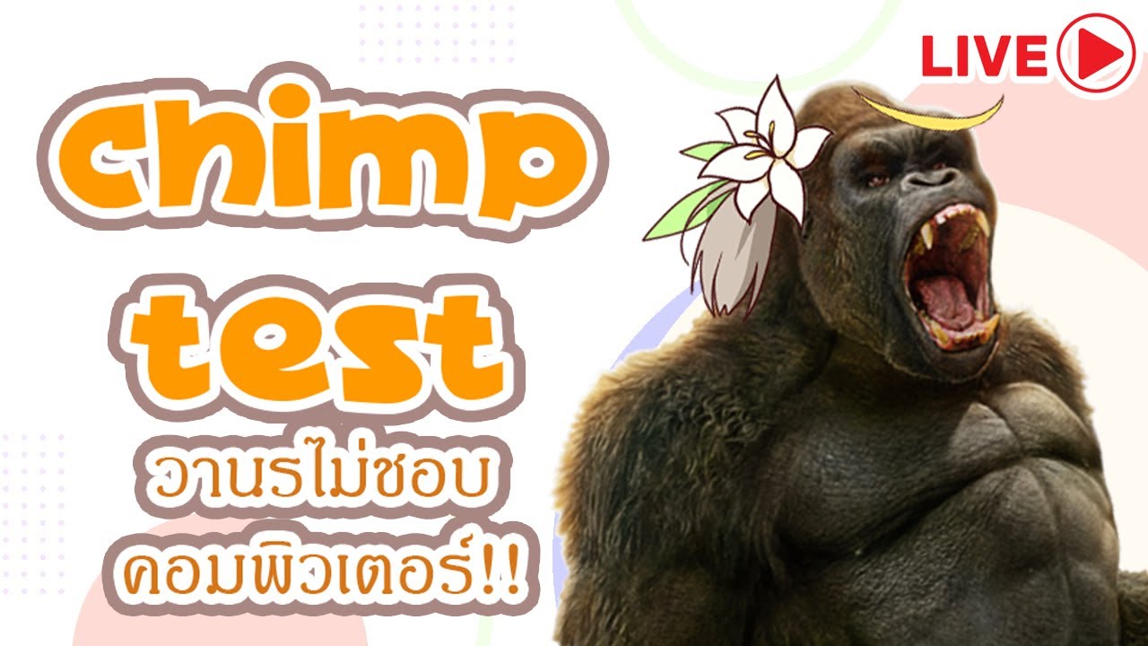 🔴[Live]Chimp Test - สติปัญญาวานร - YouTube