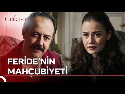 Bir Türlü Evlenmek İstediğini Söyleyemedin Feride! | Çalıkuşu 13. Bölüm