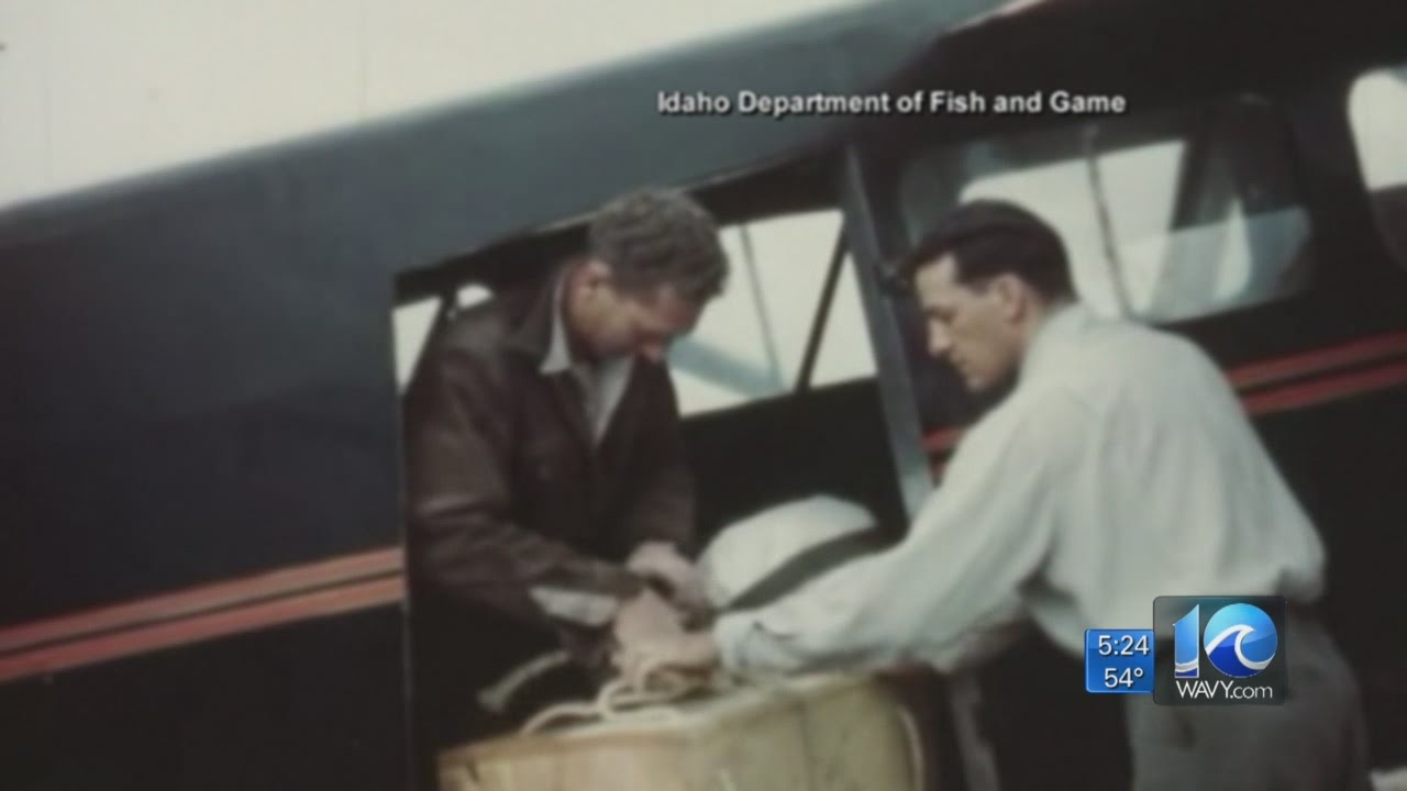 Beaver Drop! - YouTube