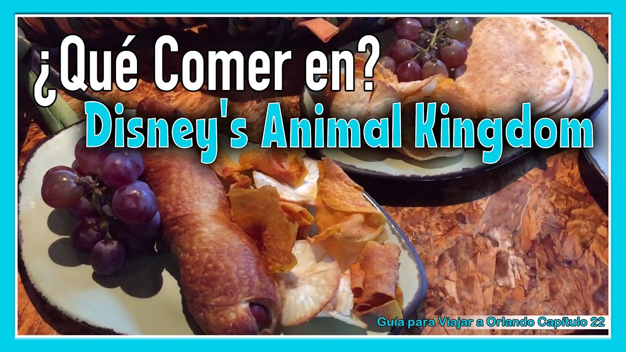 Qué comer en Animal Kingdom 🍔 Dónde comer en Walt Disney World - YouTube