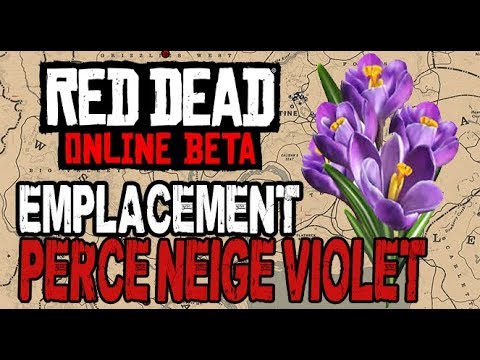 RED DEAD ONLINE - EMPLACEMENT PERCE NEIGE VIOLET - YouTube
