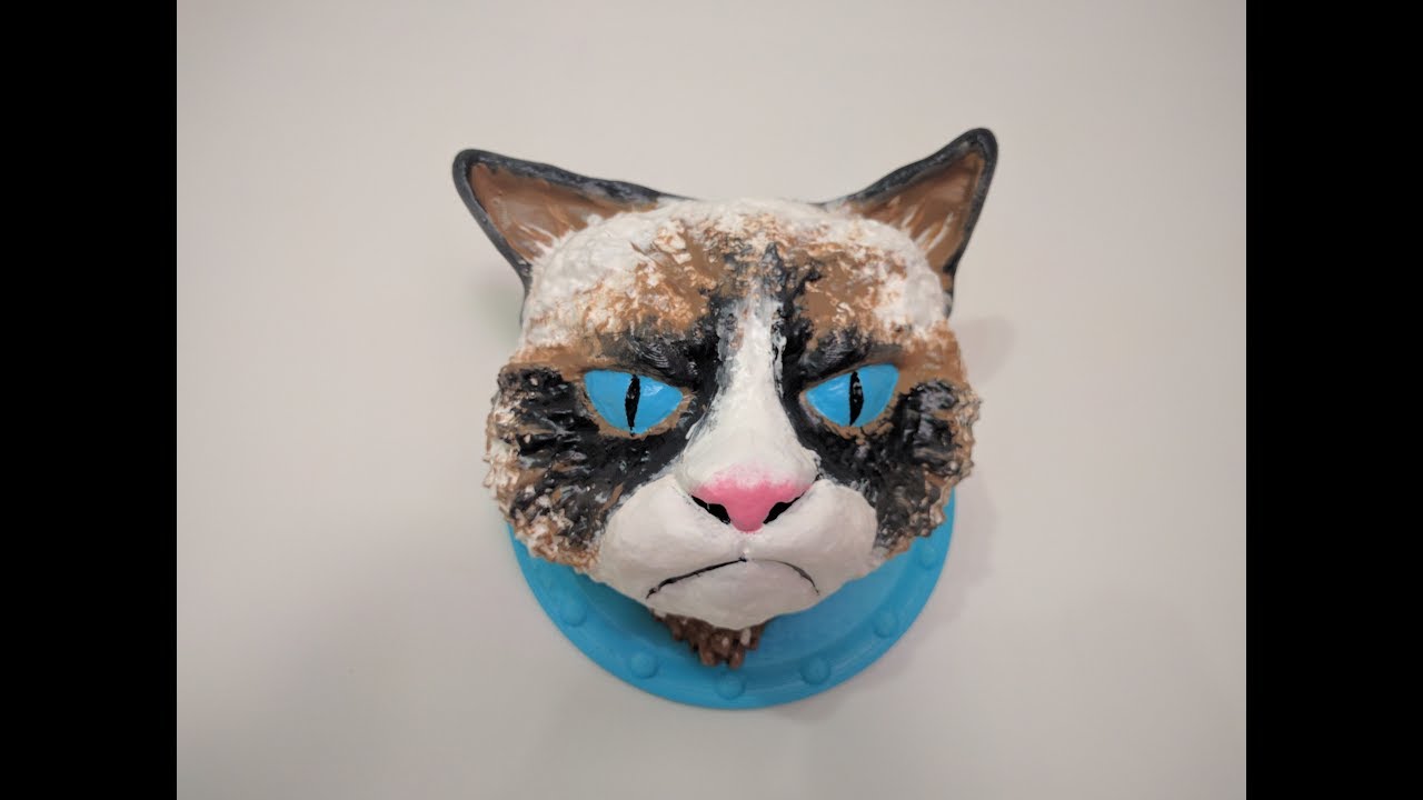 Grumpy Cat Head Timelapse - YouTube