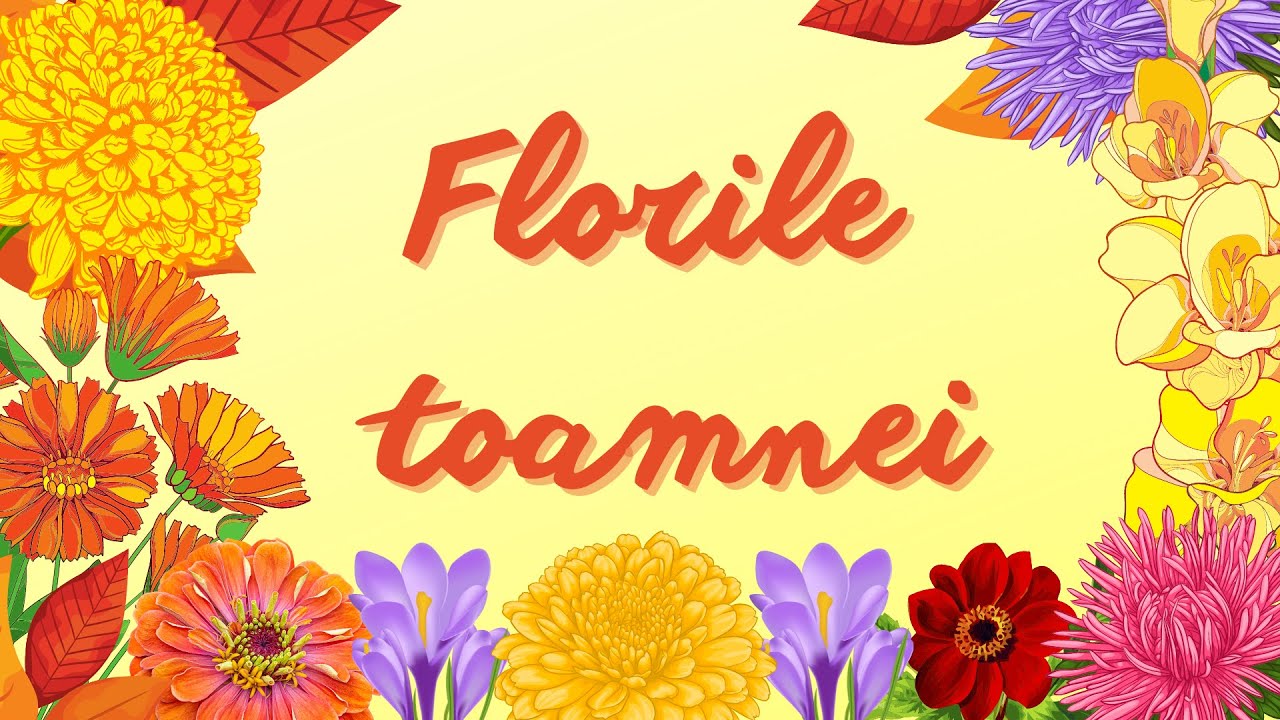 🌺FLORILE TOAMNEI🍁 - prezentare generala || cunoașterea mediului - YouTube