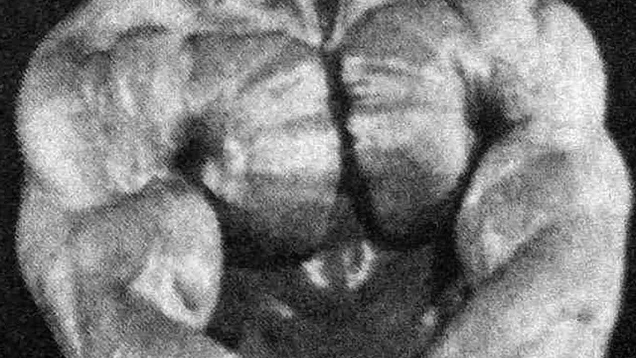 Gunnar Rosbo at the 1977 IFBB Mr. Universe versus Kal Szkalak and Mike ...