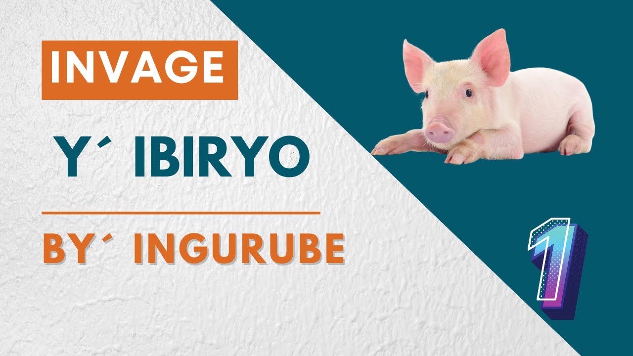 NIGUTE WAVANGA IBIRYO BY´ INGURUBE/ INGERO/ IBITERIMBARA - YouTube
