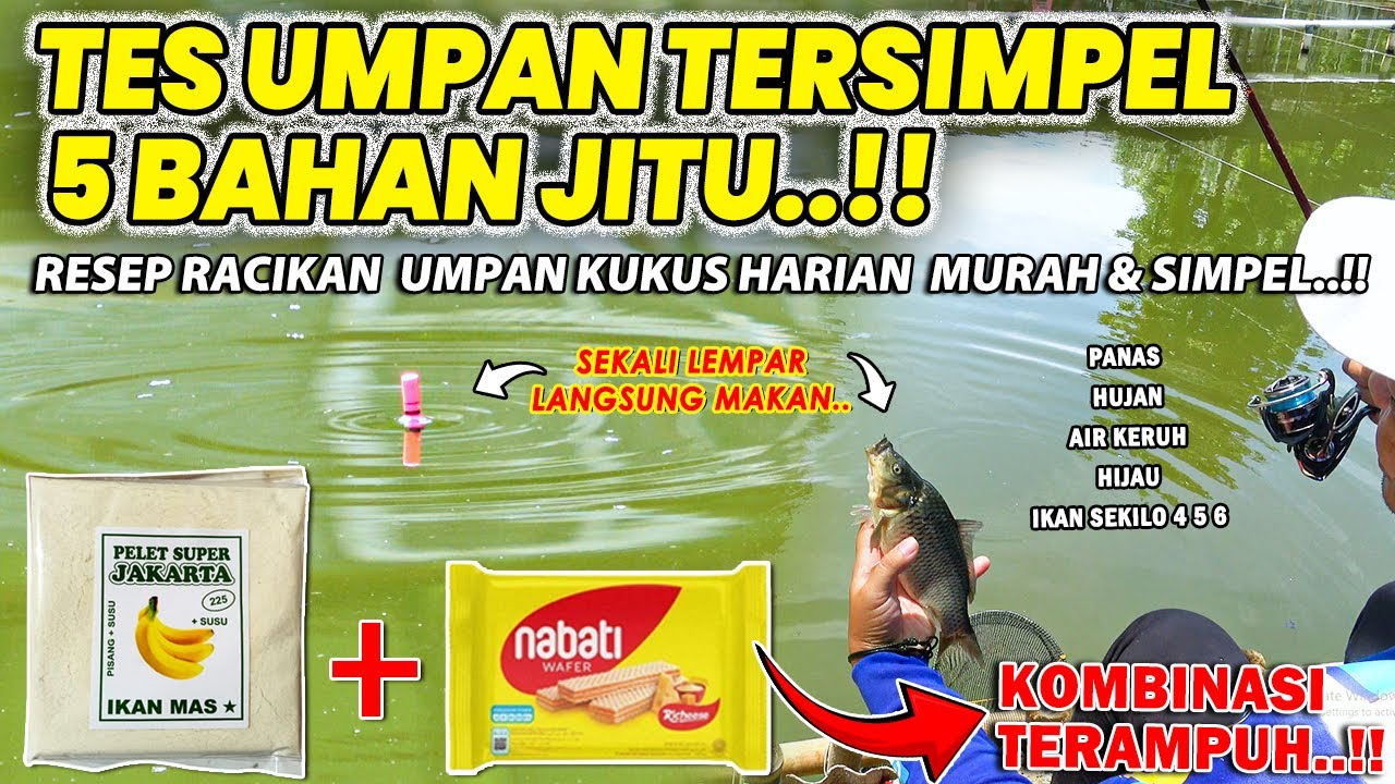 TES RACIKAN UMPAN TERSIMPEL 5 BAHAN MURAH !! KOMBINASI TERAMPUH PELET ...