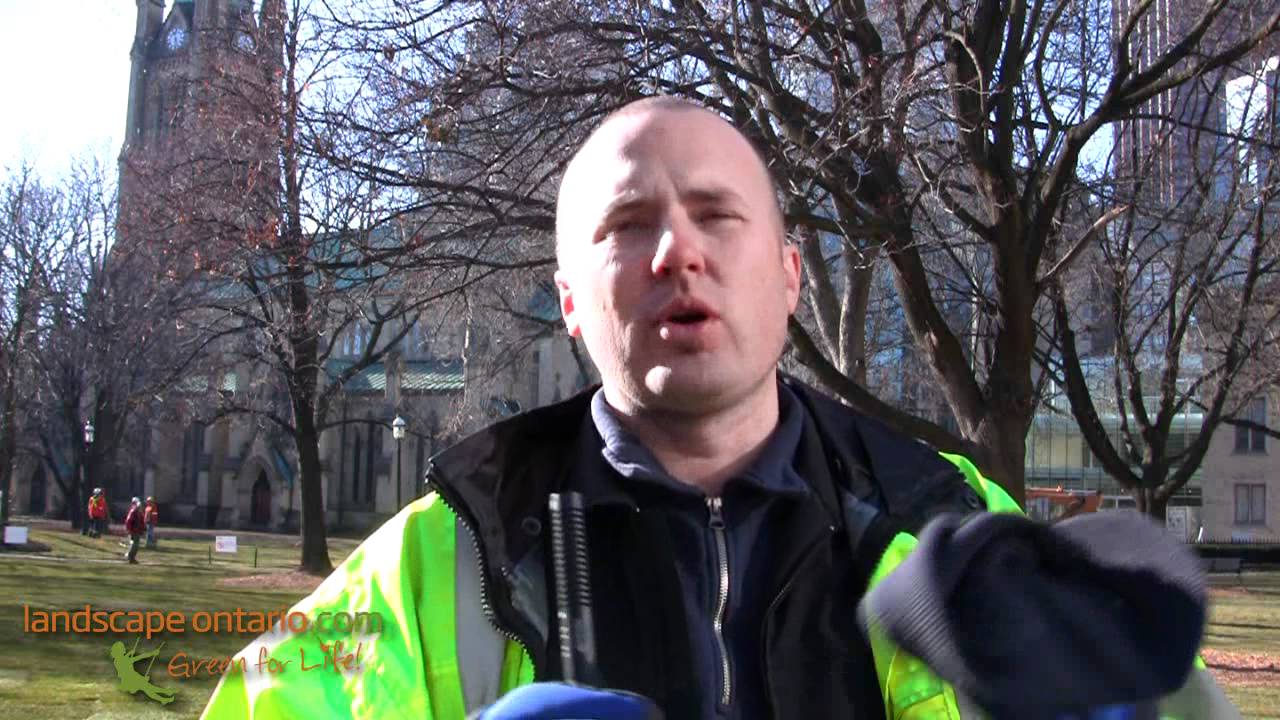 Kyle Tobin interview at St. James Park - YouTube