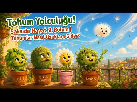 Bölüm 9: Tohum Yolculuğu! Saksıda Hayat 9. Bölüm | Tohumlar Nasıl Uzaklara Gider?