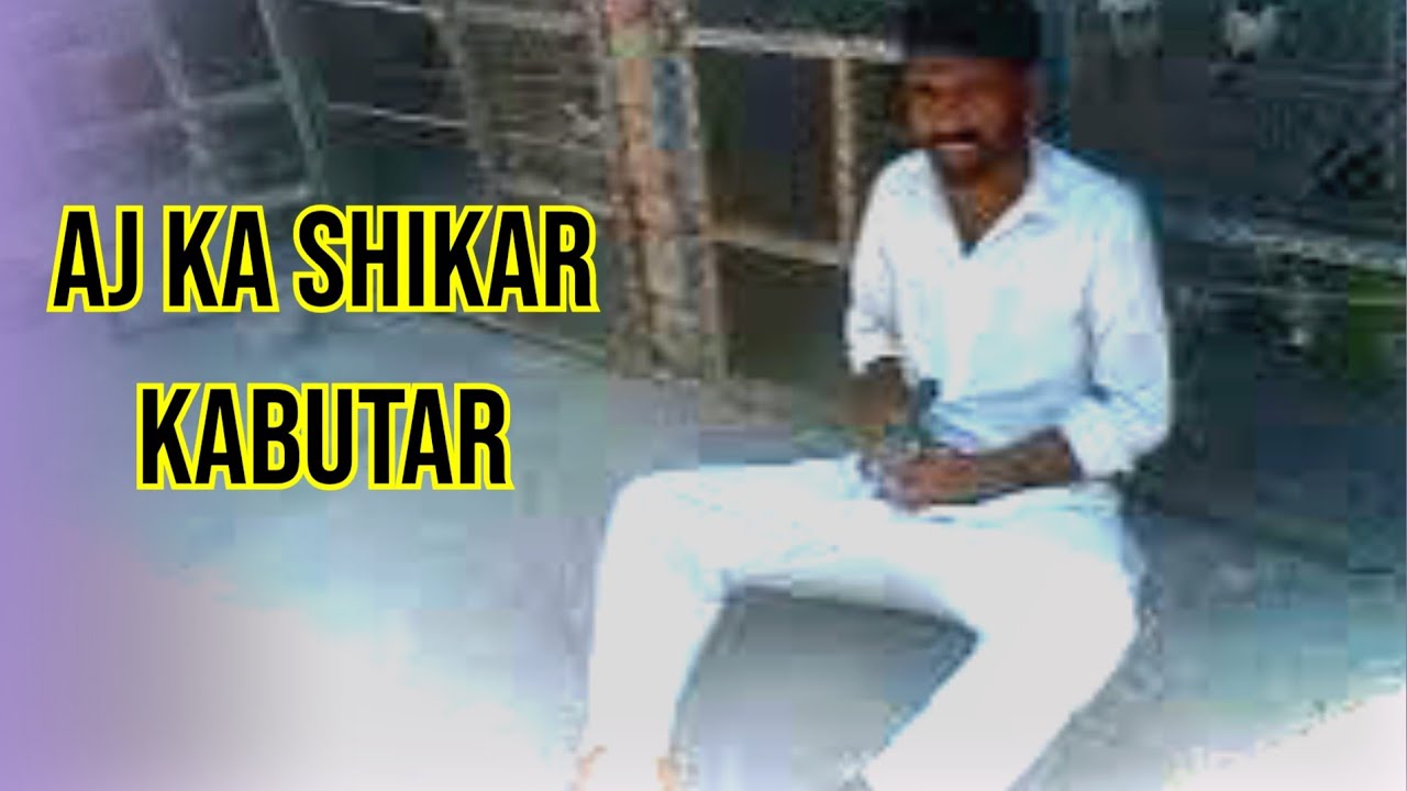 Aj ka shikar kabutar pkra hai @b.kparizadchannel8414 like and subscribe ...