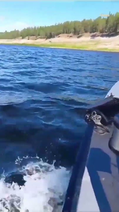 Красавица Амга😍 #якутия #отдых - YouTube