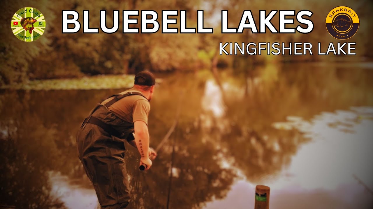 Carp Fishing Vlog at Bluebell lakes | Kingfisher lake | Day ticket ...
