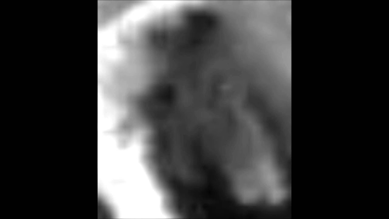 Giant Alien Face on the moon! - YouTube