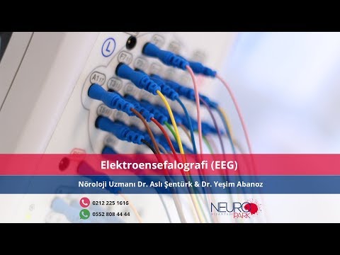 EEG - Nöroloji Uzmanı - Dr. Aslı Şentürk & Dr. Yeşim Abanoz