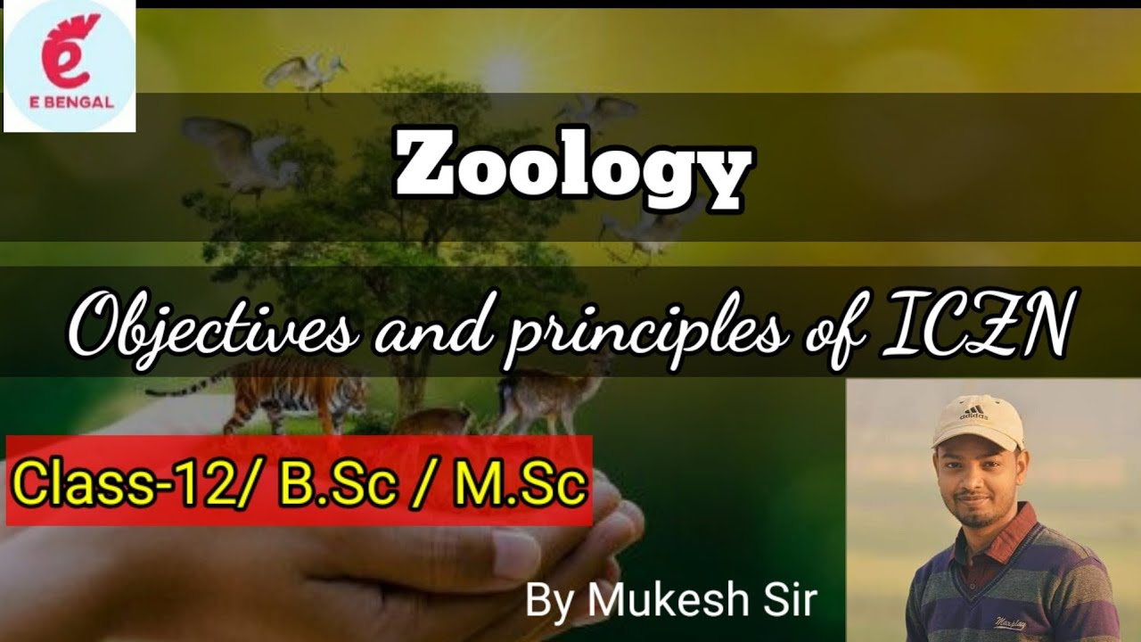 Zoology|Objectives and principles of ICZN | Class-12/ B.Sc/M.Sc - YouTube