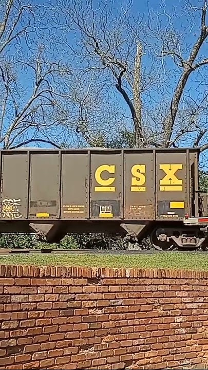 CSXT #l738 with #160 CW44AC, #716 ES44AH & BNSF #3884 ET44C4 at Fitzgerald GA 3-25-25 # ...