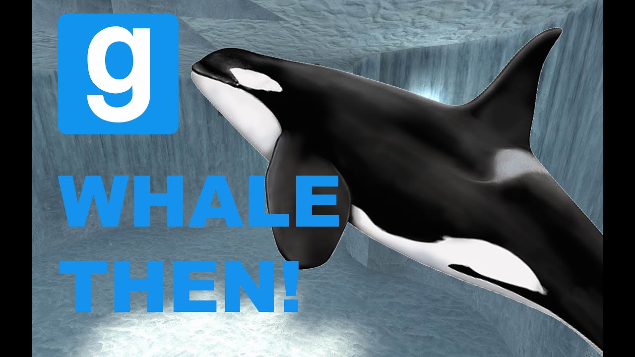 WHALE Then... | Gmod Deathrun #2 - YouTube