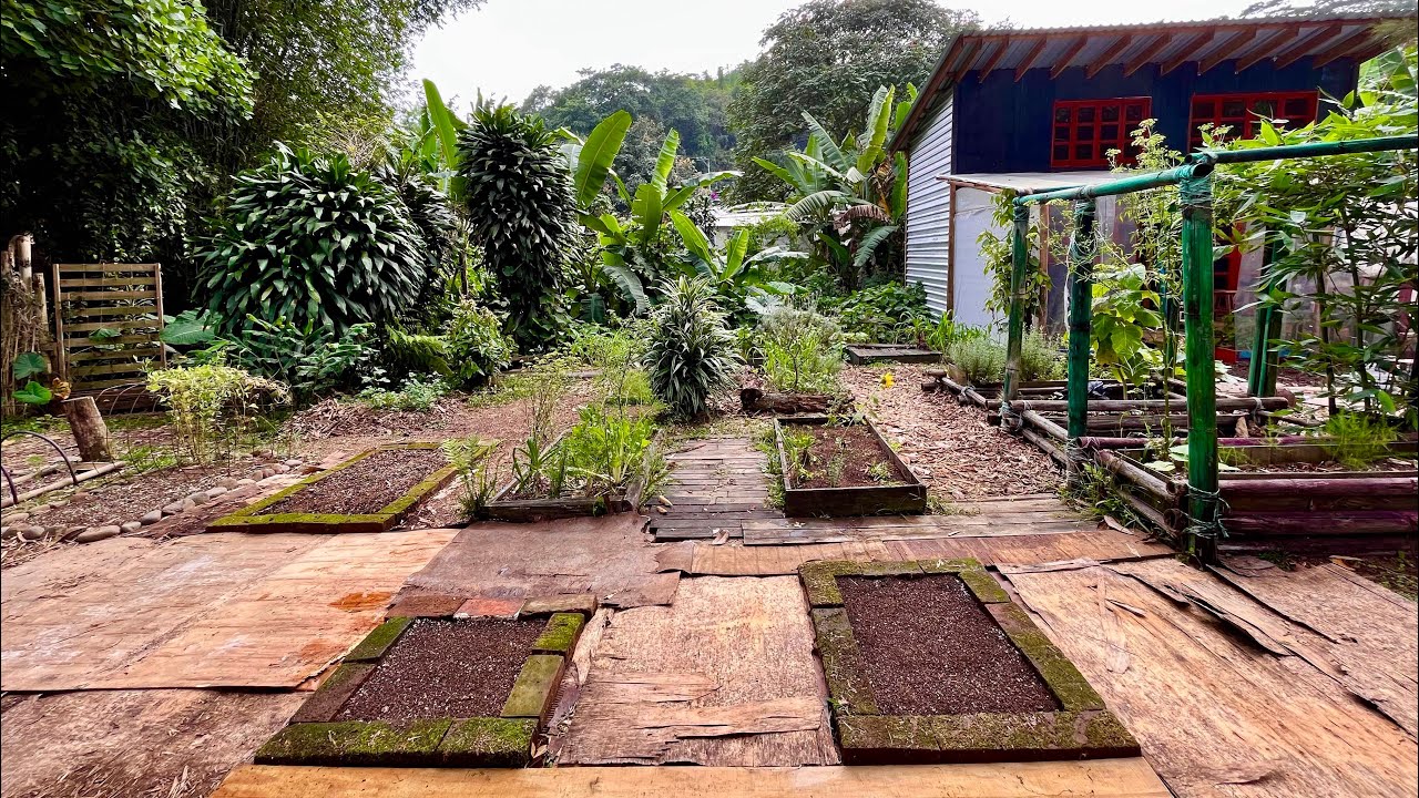 Cómo hacer CAMAS de CULTIVO fácil y rápido / Siembra directa de maíz ...