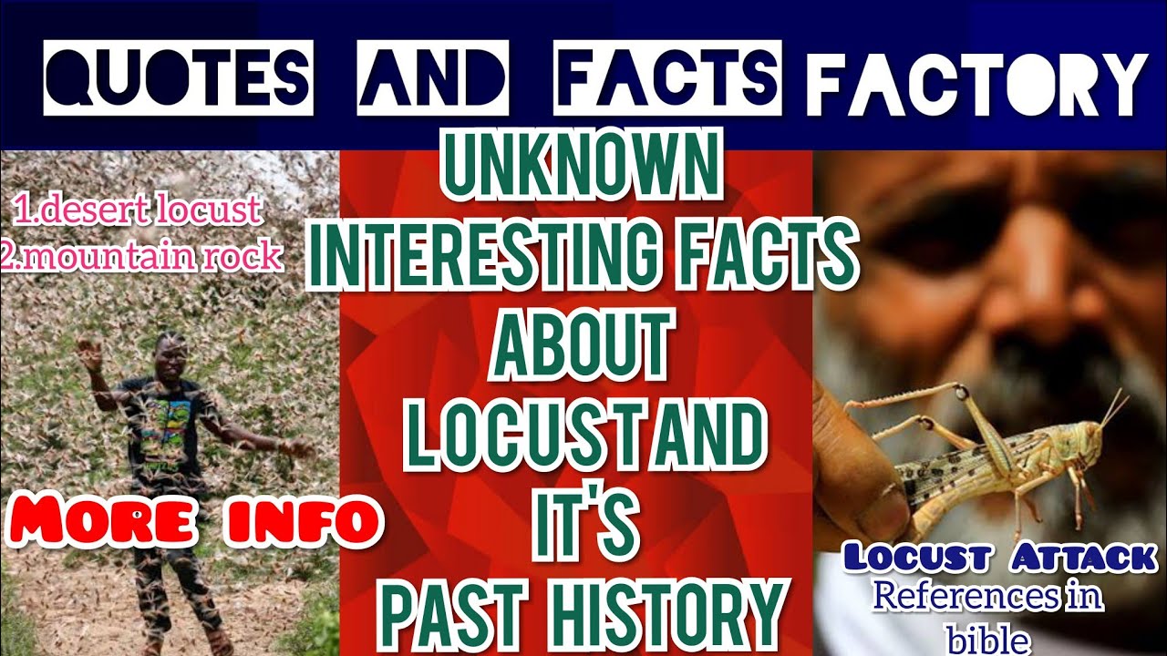 25 INTERESTING FACTS AND HISTORICAL EVENTS OF LOCUST | LOCUST ATTACK ...