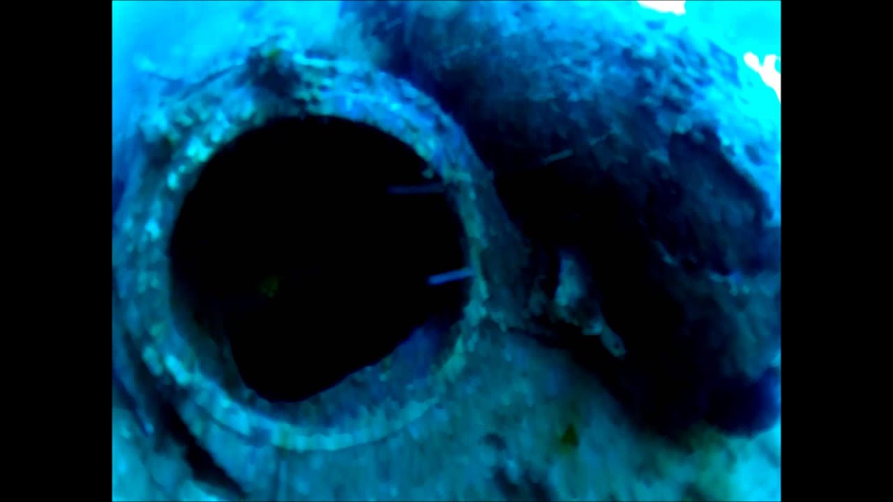 U352 Scuba Dive with Failed Inflator O-Ring - YouTube
