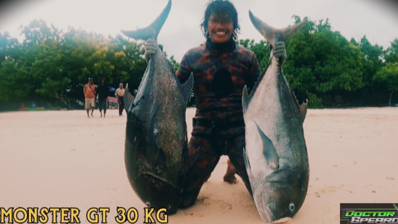 Record Giant Trevally Monster 2x30Kg di Flores NTT II spearfishing NTT ...