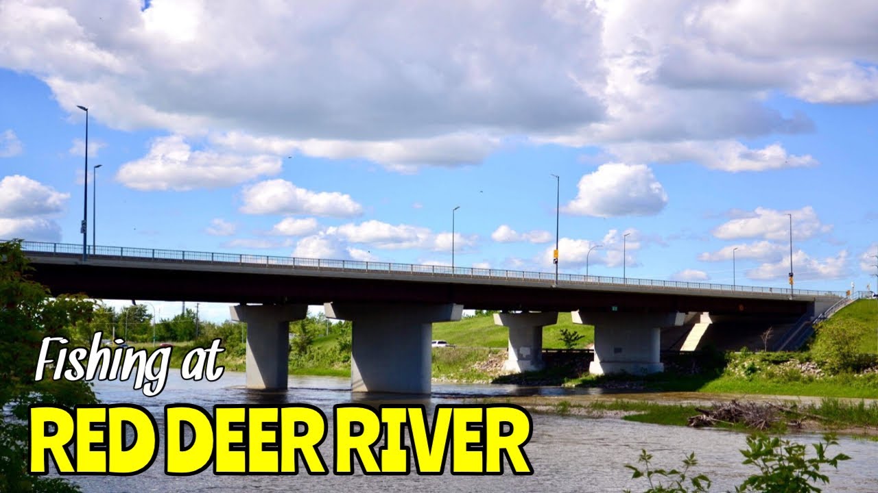 ReD Deer River Fishing - YouTube