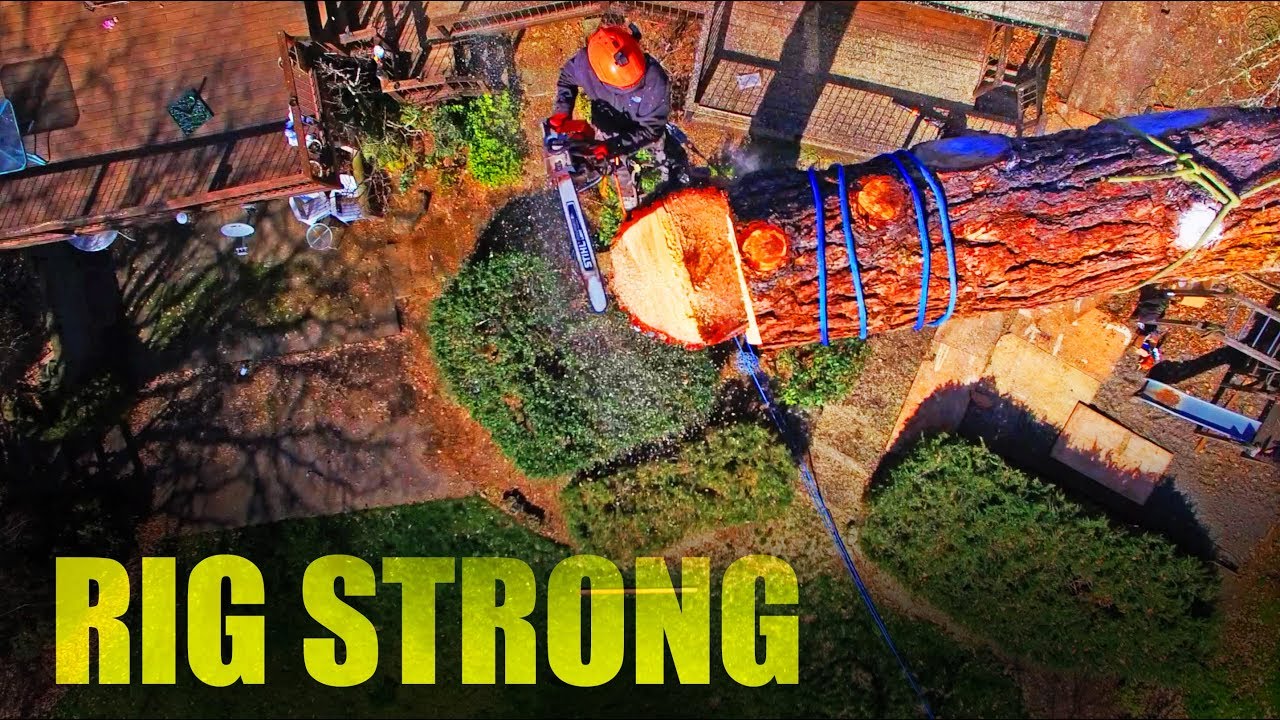 Tree Work with Strong Rigging - YouTube