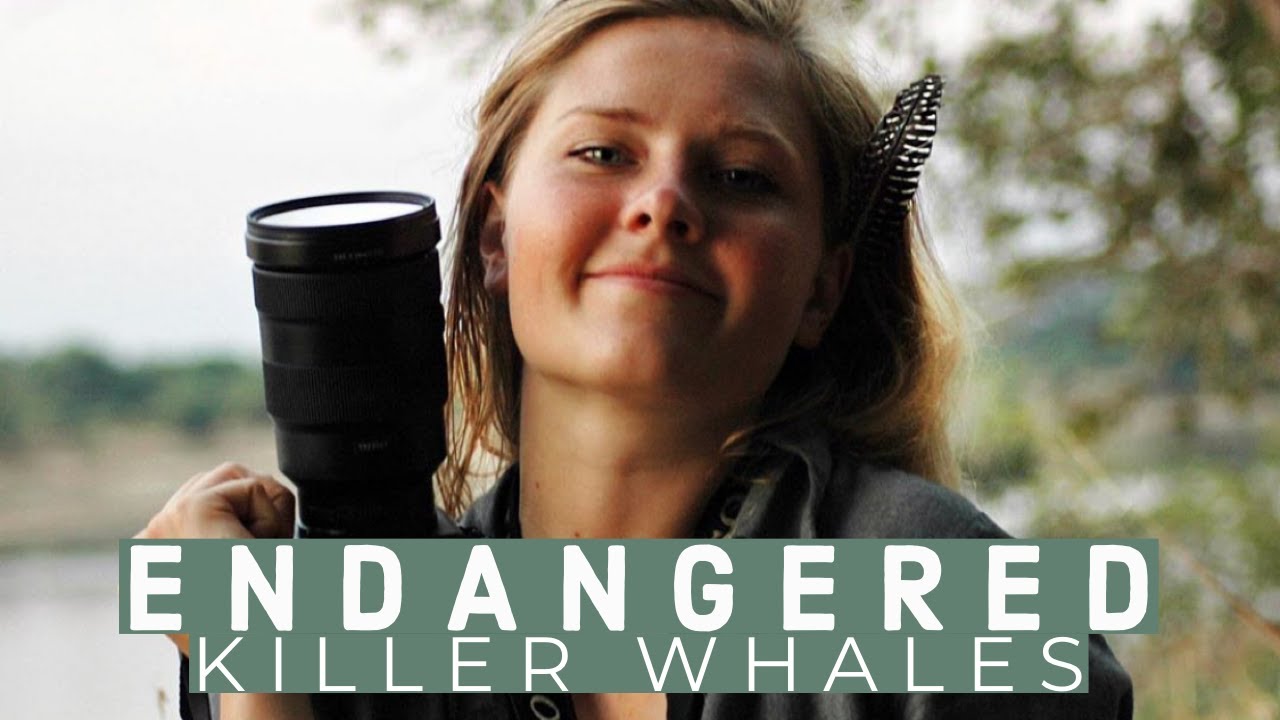 Endangered Orcas! Coextinction Film with Director Elena Jean - YouTube