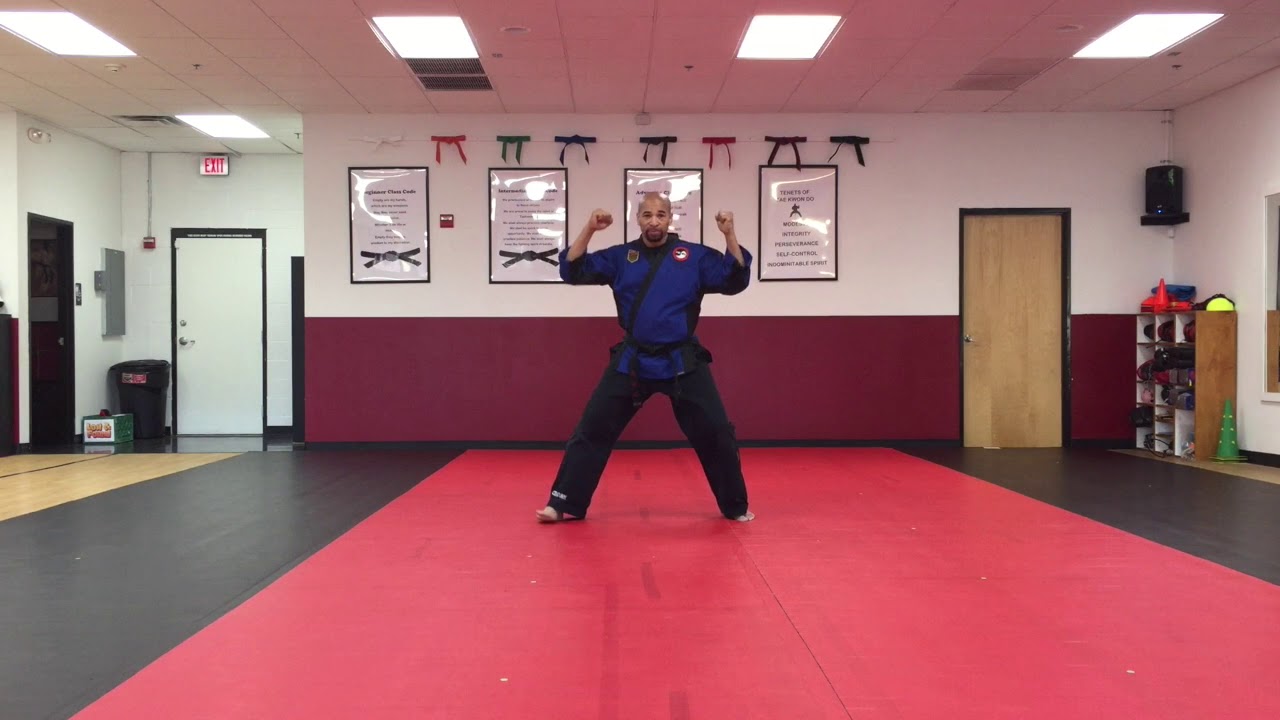 07 Brown belt - Toi gye pattern - YouTube