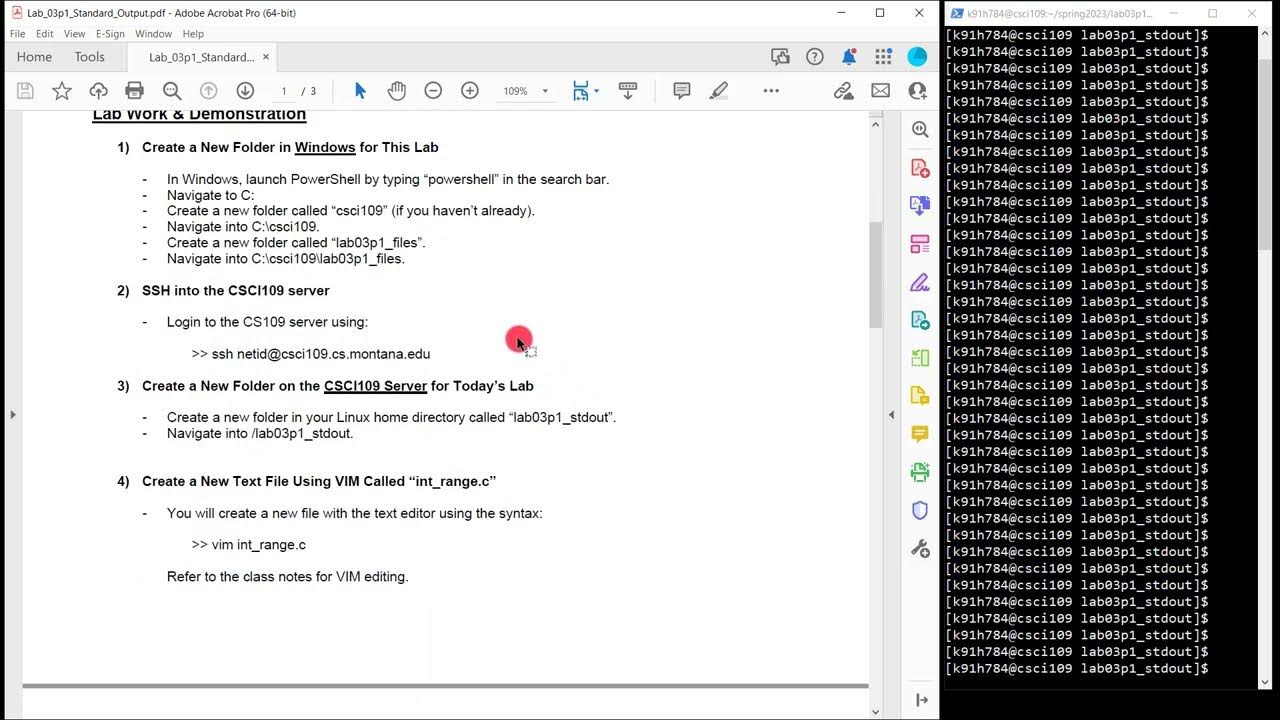 CSCI 109: Lab 3.1 - Standard Output w Integers Overview - YouTube