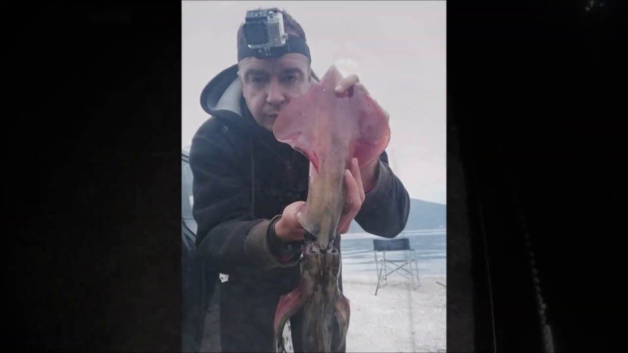 eging for squids (ψαρεμα καλαμαριων απο την ακτη) - YouTube