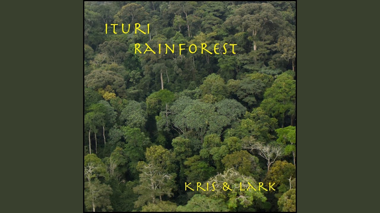 Ituri Rainforest - YouTube