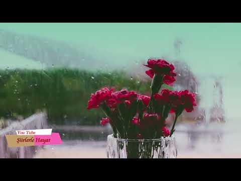 Pencereyi kapama * Arkadaş Zekai Özger