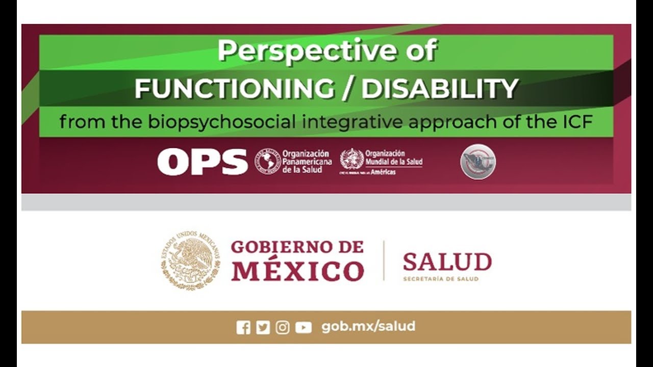 Perspective of Functioning/Disability from the biopsychosocial ...