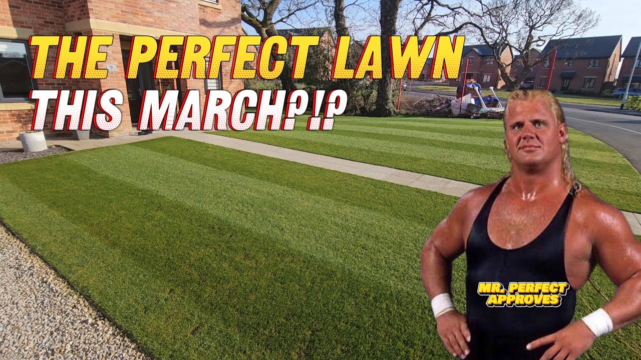 Is This The Perfect Lawn This March // March Lawn Tips// Spring Lawn ...