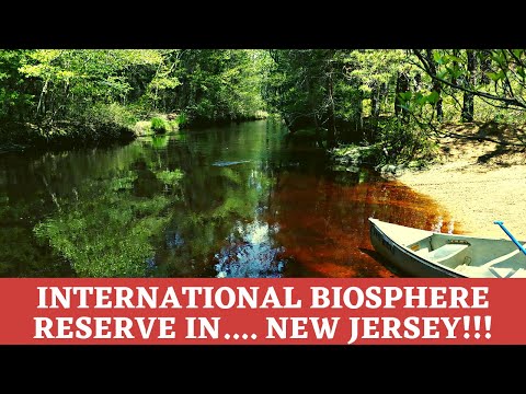 What Are Barren Lands Ecosystem Nj