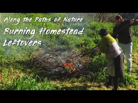 BURNING HOMESTEAD LEFTOVERS (Burning leftover tree debris at my off ...