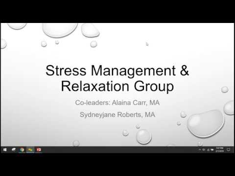 Stress Management Training Webinar Series-Session 1 of 4 - YouTube