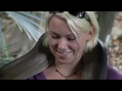 How to Hold a Python - YouTube