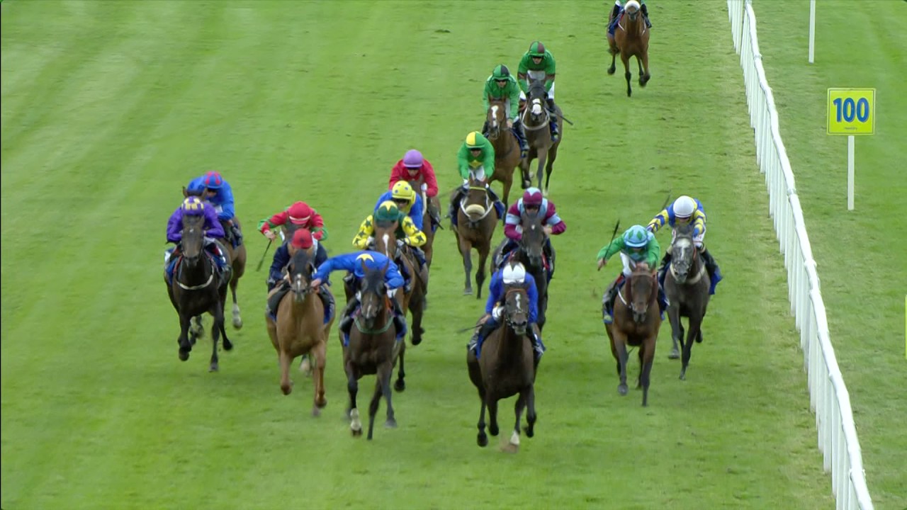 Tipperary racing highlights 29th June 2017 - YouTube