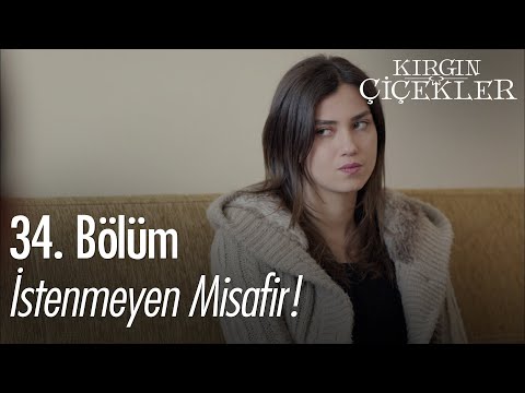Meral gelen misafirden hoşlanmıyor! - Kırgın Çiçekler 34. Bölüm