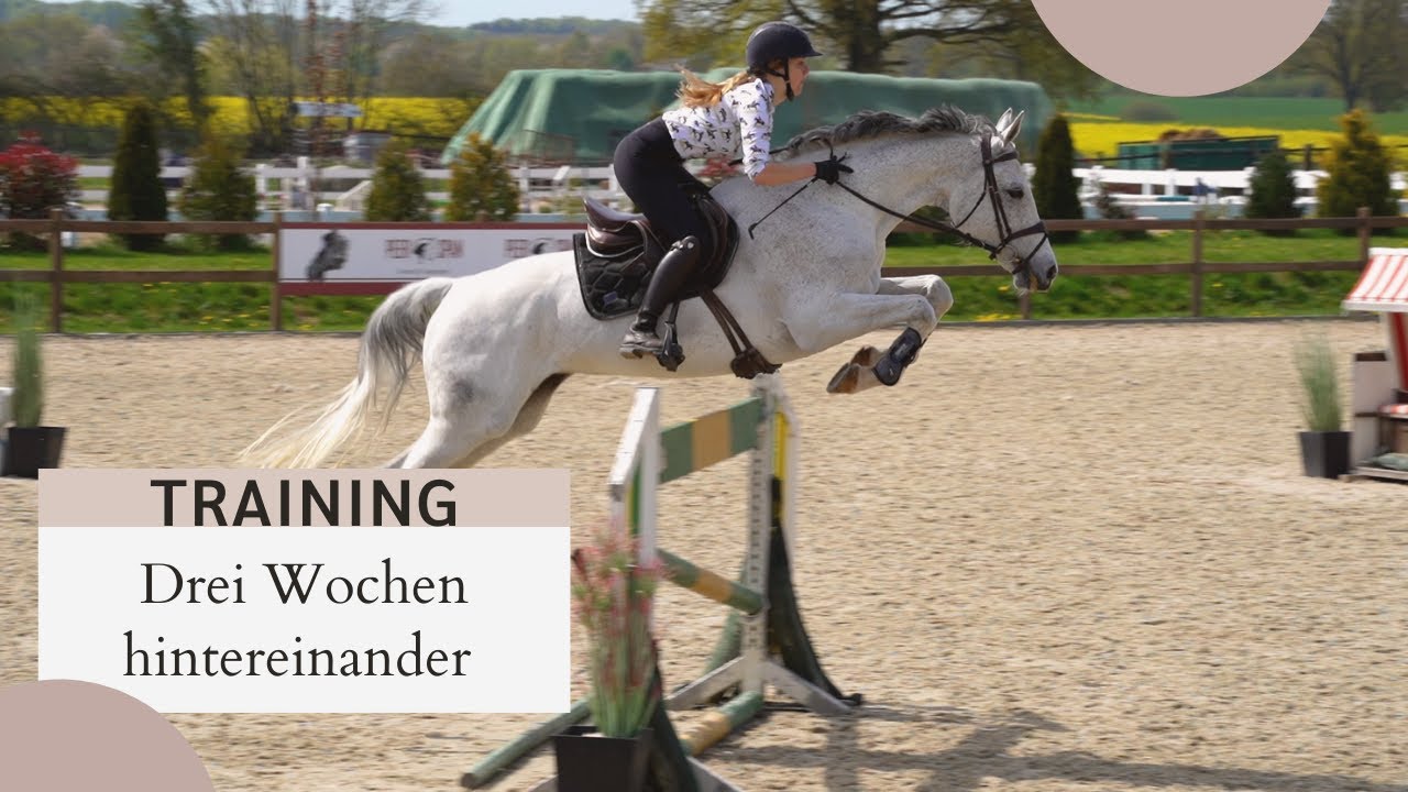 3x Springtraining! | kommentiert - YouTube