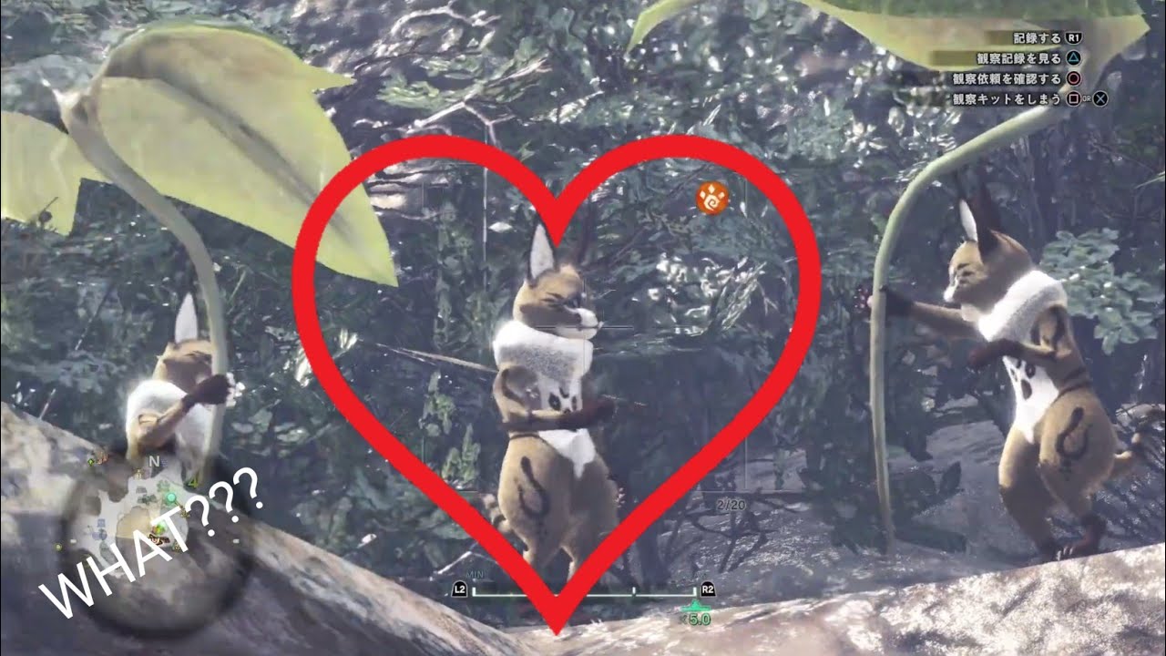 Monster Hunter World Iceborne Grimalkyne And Boaboa a moment that is ...