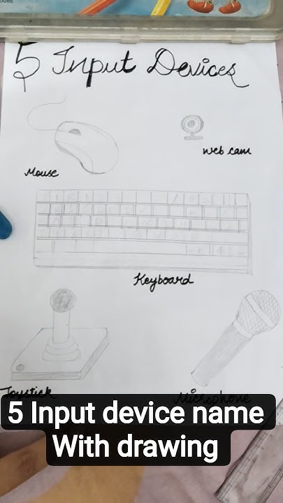 5 Input device names of computer hardware #inputdevices #computerscience #inputdevicename - YouTube