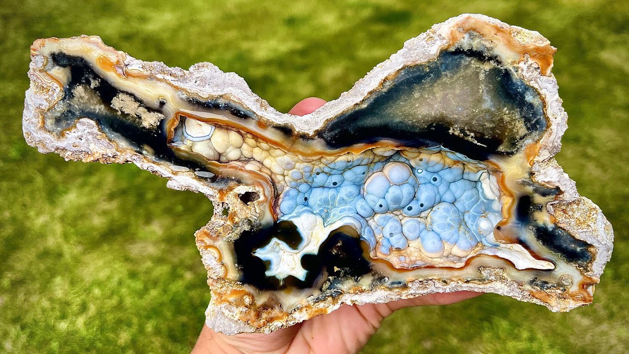 I cut $900 of Agatized Coral Geodes Open! - YouTube