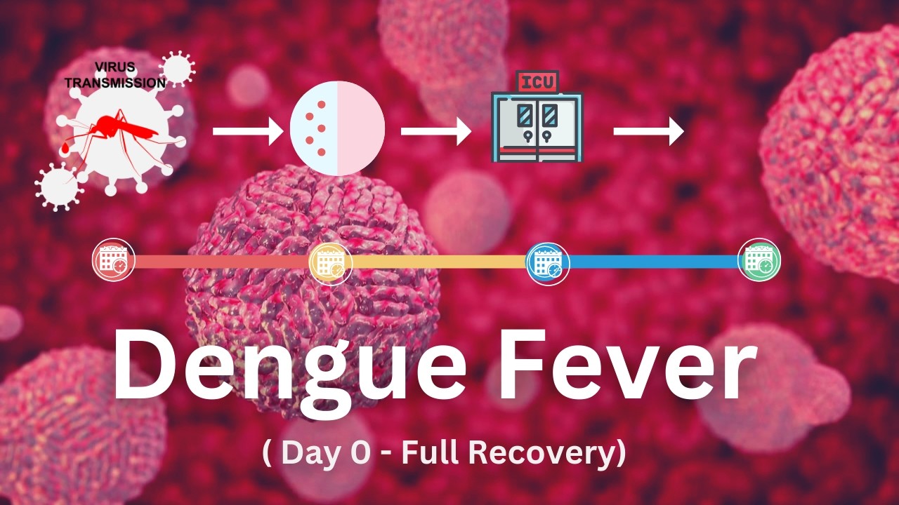 Dengue Fever Timeline: What Happens from Day 0 to Recovery (Dengue ...