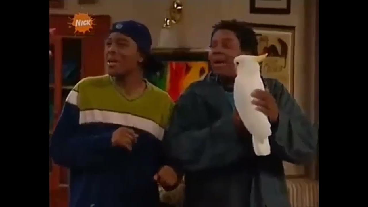 Kenan y Kel - Se acabó la fiesta 🦜🐓 - YouTube