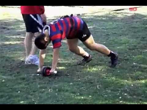 Scrum Harness and Ab Wheel [7-034] - YouTube