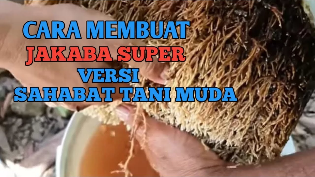 Trik Jitu Membuat Jakaba Super ala Sahabat Tani Muda - YouTube