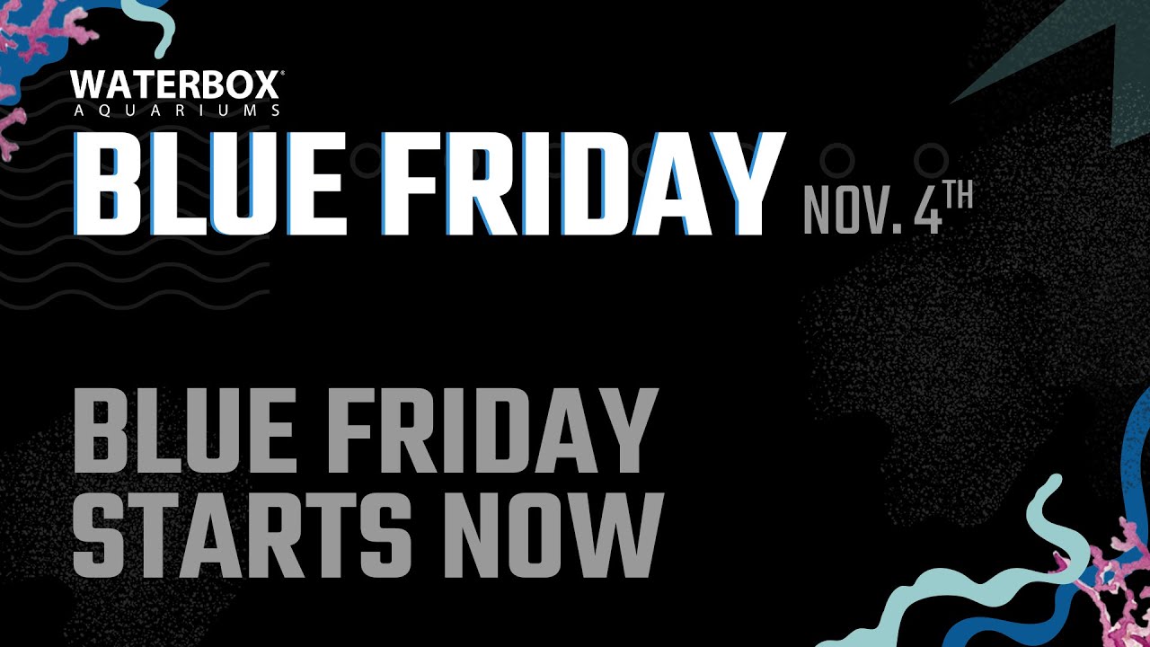 Welcome to Blue Friday! Giveaways, Special Guests, and Once A Year ...